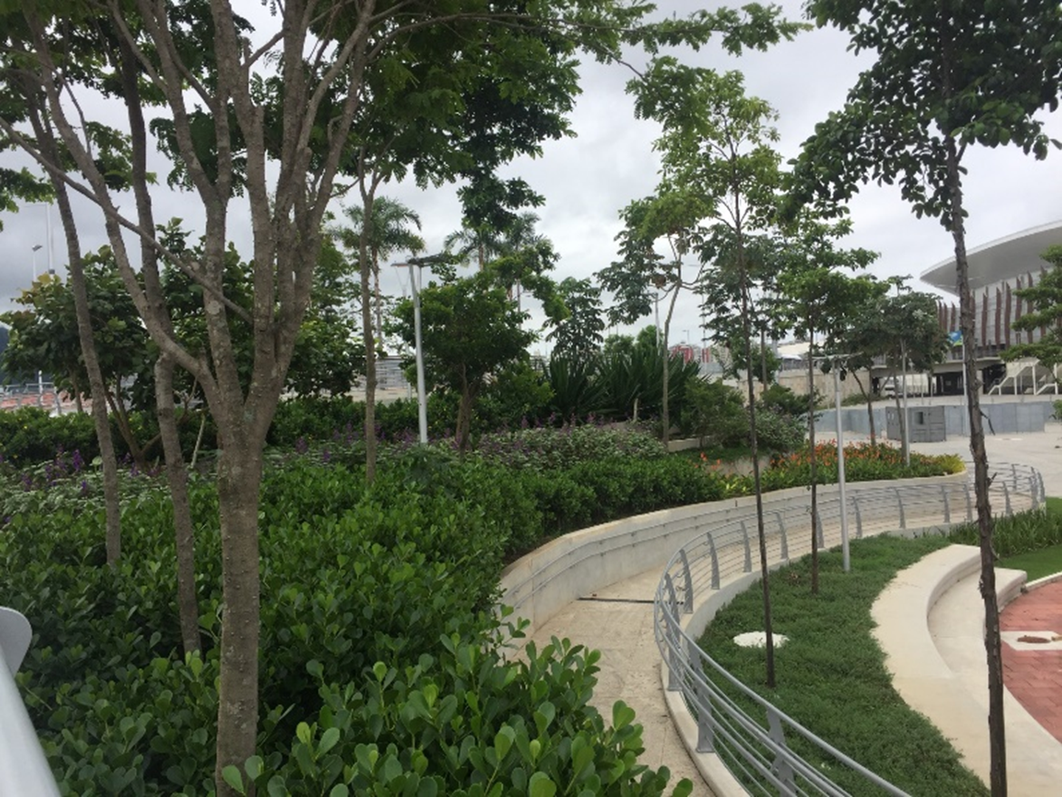 Curso de Plantio - Plantare Paisagismo
